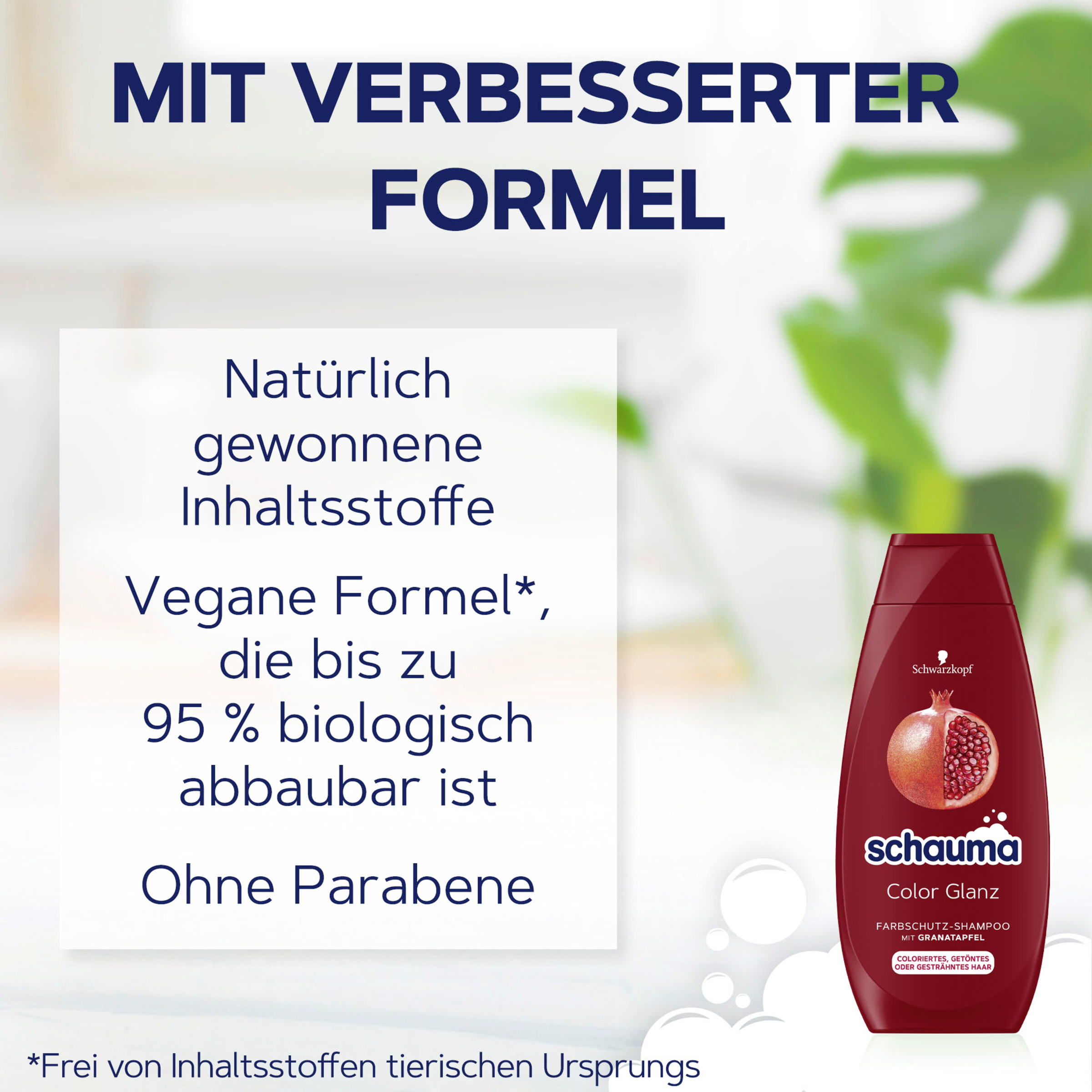 Schauma Shampoo Color Glanz Køb online | rossmann.dk